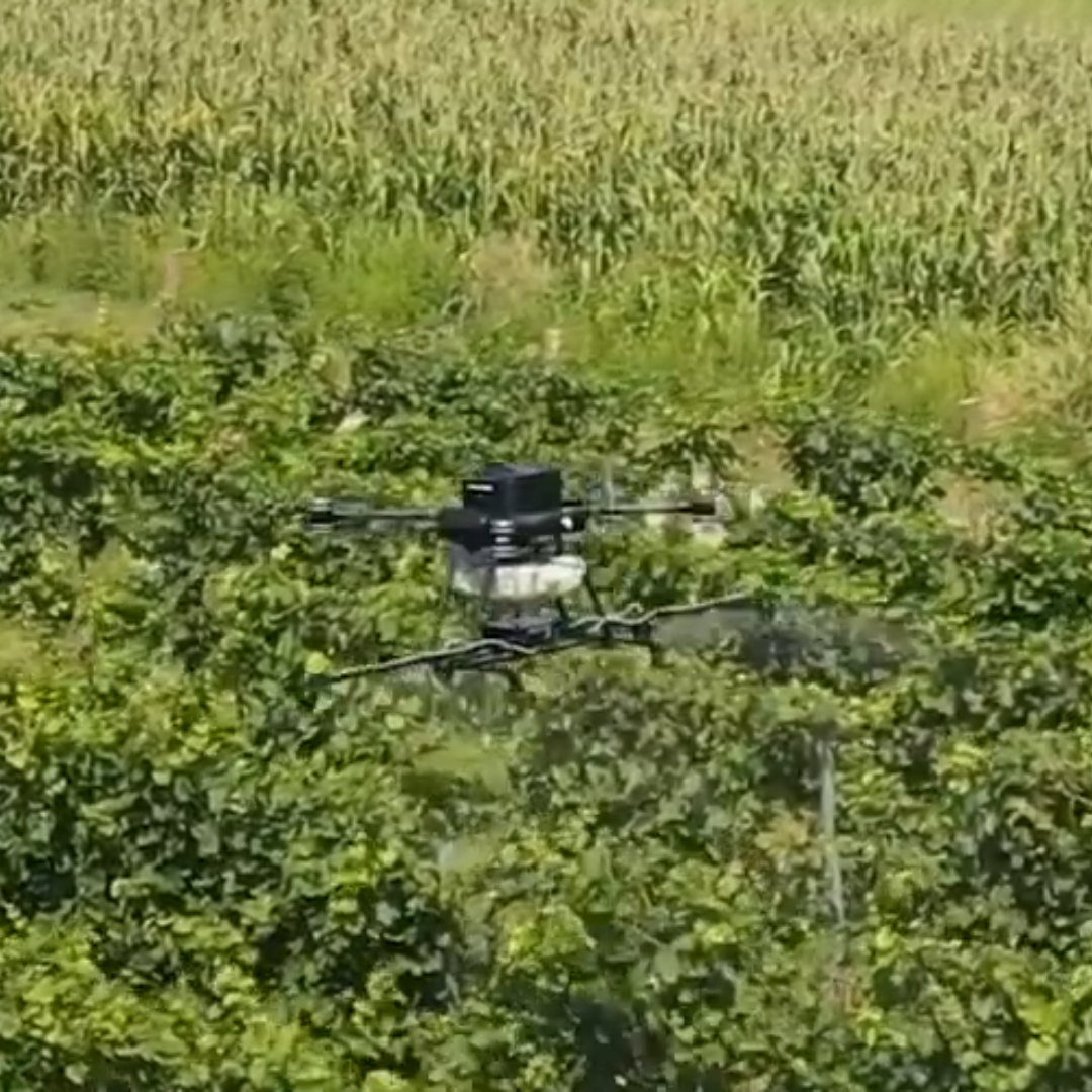 All Drones | Blast Structures